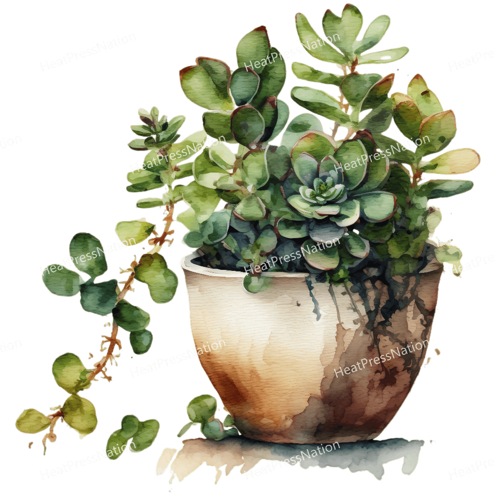 Plants Growing Design